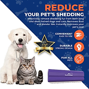 EasyGroomer Deshedding Brush for Dogs Cats | Purple | Undercoat Tool for Large and Small Pets | Comb Removes Loose Dirt, Hair and Fur | Perfect Clean for Short and Long Hair Grooming Shedding