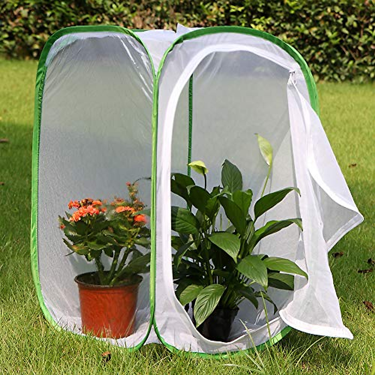 RESTCLOUD Insect and Butterfly Habitat Cage Terrarium Pop-up 23.6 Inches Tall