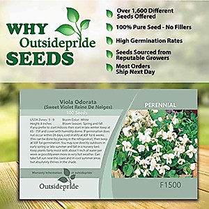 Outsidepride Perennial Sweet Violet Reine De Neiges Violoa Odorata Garden Flowers - 100 Seeds
