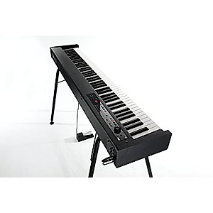 Korg D1 88-Key Stage Piano Controller