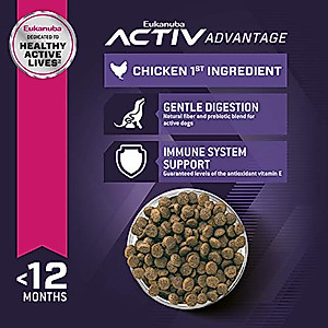 Eukanuba Puppy Small Breed Dry Dog Food, 15 lb