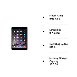 Apple iPad Air 2 16GB Cellular Space Gray (Renewed)