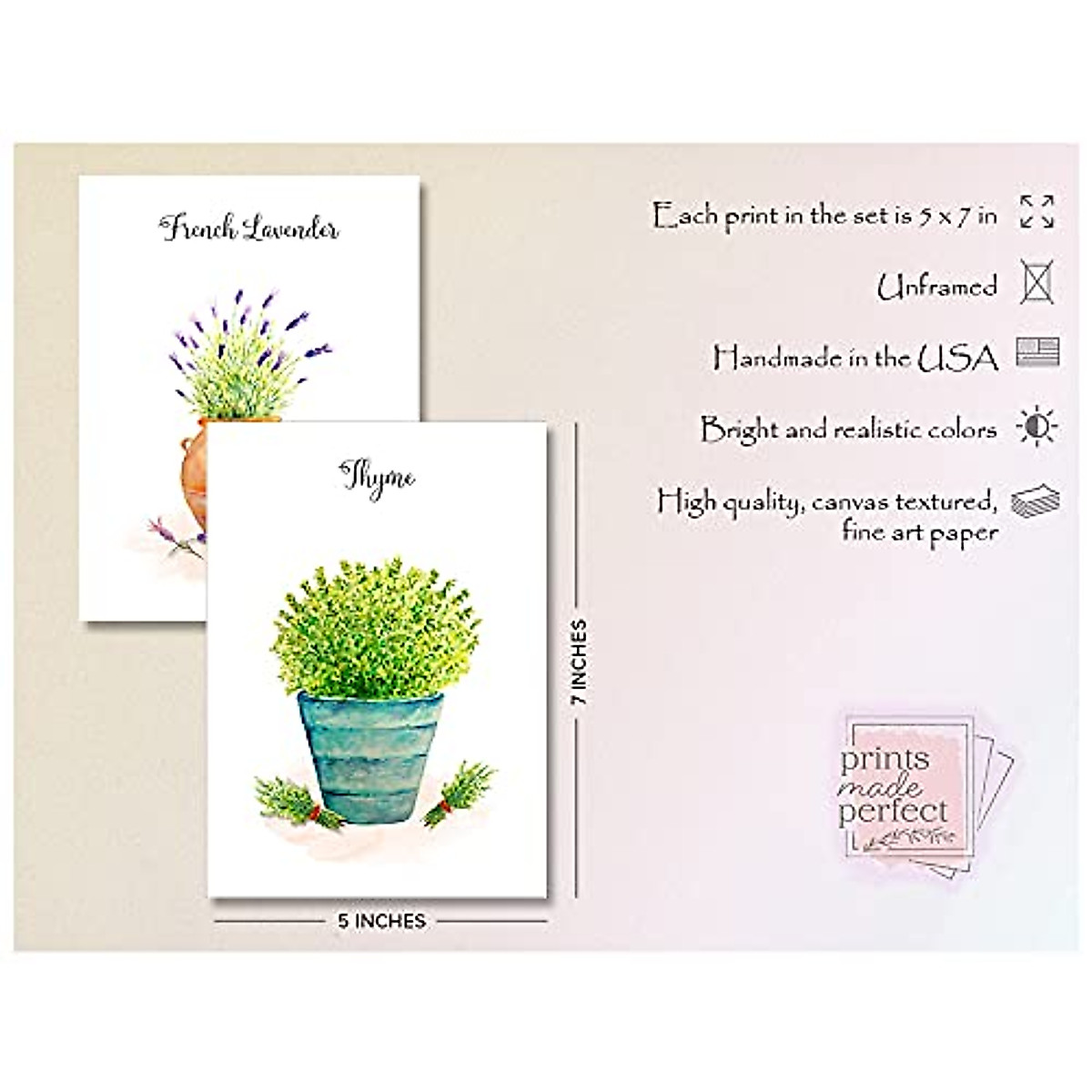 Kitchen Wall Art - Herbs Prints in Pots (Set of 7) - Farmhouse Decor - Unframed Botanical Prints (5x7)