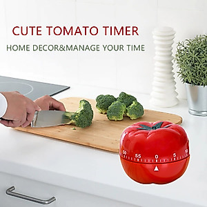 Mechanical Timer 60 Minutes Cute Kitchen Timer Cooking Timer Clock Loud Alarm Counters Manual Timer