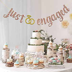 MonMon & Craft Just Engaged Banner / Engagement Party Decor / Bachelorette / Wedding Party Decorations Rose Gold Glitter