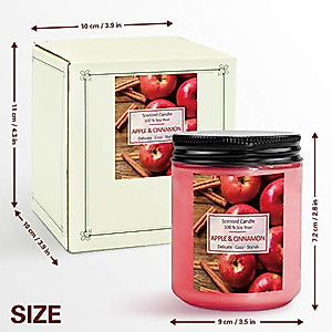 SCENTORINI Scented Candles, Apple Cinnamon Scented Candle, 7 oz Natural Soy Wax Candle, Aromatherapy Candle Gift Set for Halloween, Christmas