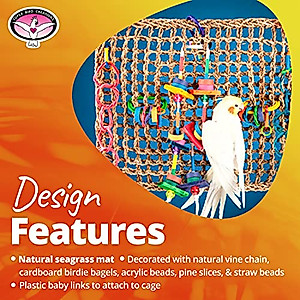 Super Bird Creations SB699 Activity Wall Bird Toy, Medium Bird Size, 12" x 14" x 3"