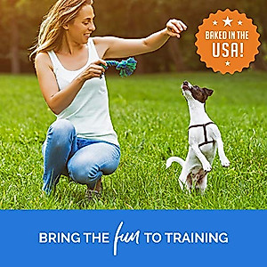 BUDDY BISCUITS Training Bites for Dogs, Low Calorie Dog Treats Baked in The USA, Bacon 10 Oz.