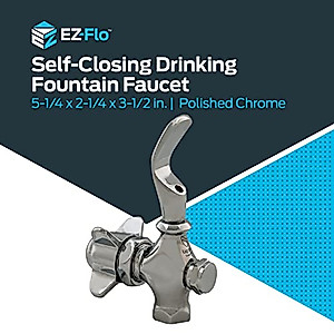 EZ-FLO 1/2 Inch IPS Self-Closing Drinking Fountain Faucet, Chrome, 10341LF
