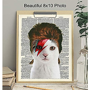 Poster of David Bowie Cat Wall Art - 8x10 Funny Upcycled Dictionary Cat Wall Decor for Vet, Veterinarian Office, Home, Bedroom - Unique Gift for 70s, 80s Punk Rock Music, Ziggy Stardust Fans