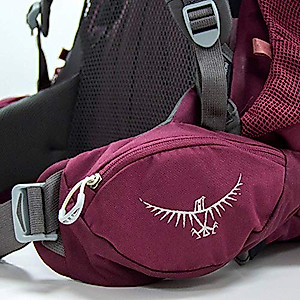 Osprey Renn 65L Women's Backpacking Backpack, Aurora Purple