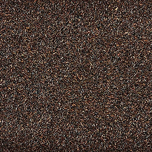 Kaytee Nyjer Wild Bird Food Seed, 5 Pound