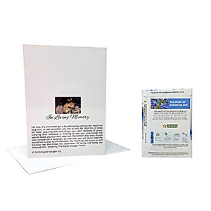 Pet Sympathy Card & Forget Me Not Seed Packet Memorial Gift Set