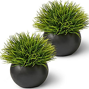 SEEKO Fake Plants for Home Décor (2-Pack) Bathroom Décor, Shelf Décor, Office Décor, Masculine Décor - Potted Artificial Plants for Desk Greenery - Small Modern Decor