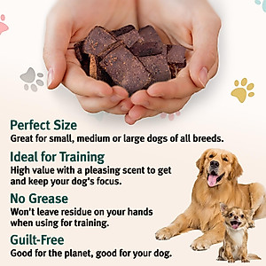 Arch Digestive Health Dog Treats | Prebiotic/Probiotic, Hypoallergenic, Made in The USA, Gluten-Free, Eco-Friendly | High Protein, Natural High Value | Gut and Stomach Relief and Support