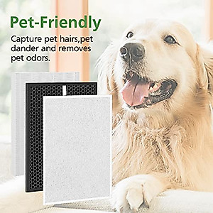 HR900 Replacement Filter Kit Compatible with Winix HR900, 3-in-1 H13 True HEPA Filter & Carbon Filter & Pre-filter, Replaces Part # 1712-0093-00 / Filter T and 1712-0094-00 / Filter U(1+1+6 Pack)