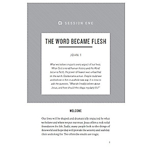 John Study Guide with DVD: Life in His Name (40 Days Through the Book)