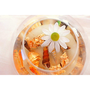 Sea Shells Mixed Beach Seashells 9 Kinds 1.2"-3.5 "Various Sizes Natural Seashells and 2 Kinds of Natural Starfish for Beach Themed Party DIY Crafts FishTank Vase Fillers Home Wedding Decorations