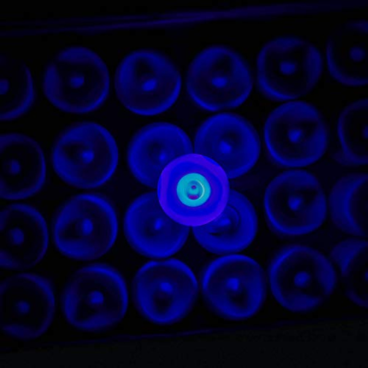 Rakumi LED Candles, Flameless LED Tea Lights, Battery Operated LED Votive Candles for Valentine's Day Wedding Birthday Party, 24 Packs (Blue)