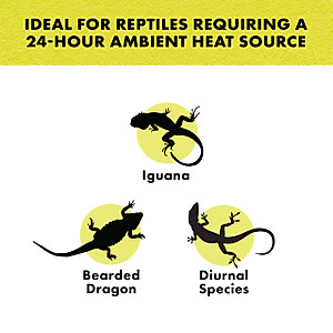 Zilla Incandescent Spot Bulb, for Nocturnal Reptile Species, Night Black