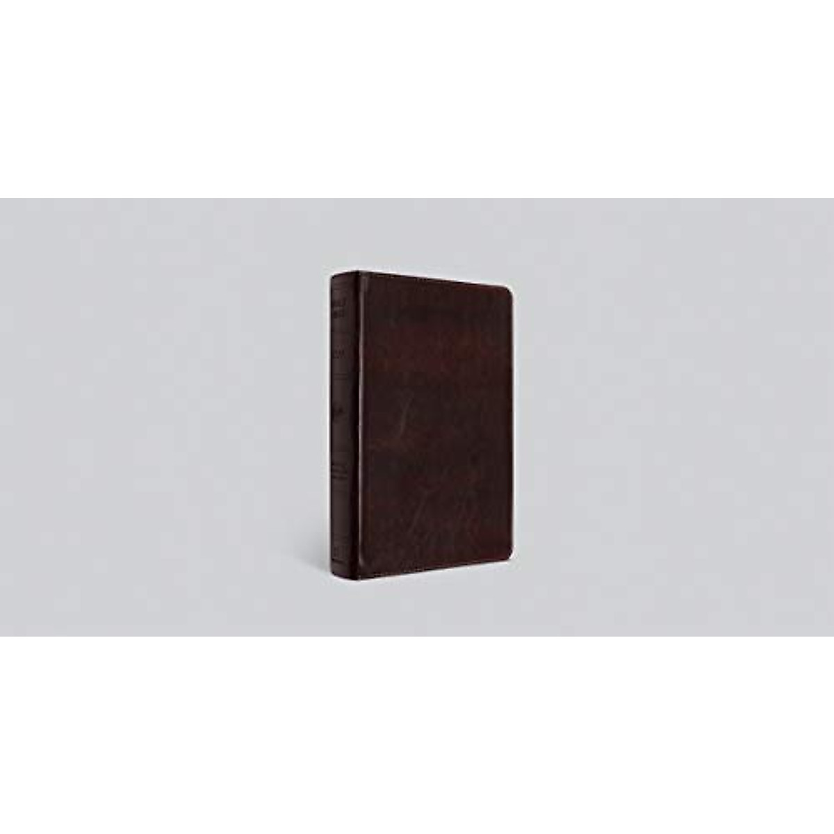ESV Large Print Personal Size Bible (TruTone, Mahogany)