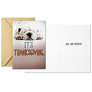 Hallmark Funny Shoebox Funny Thanksgiving Card Assortment (6 Cards with Envelopes)