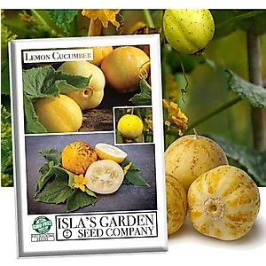 Lemon Cucumber Seeds for Planting,125+ Heirloom Seeds Per Packet, (Isla's Garden Seeds), Non GMO Seeds, Botanical Name: Cucumis sativus 'Lemon', Great Gift for Home Garden