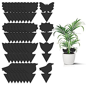36 Pack Fungus Gnat Traps for House Plants, Black Sticky Traps for Indoor Outdoor Use to Get Rid of Whitefly Mosquitoes Fungus Gnats Thrips Leafminer Flying Insects Protect Your Plants