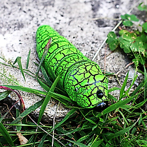 Tipmant RC Bug Remote Control Worm Realistic Caterpillar Inchworm Electronic Animal Toys Fake Insect Car Vehicle Kids Birthday Gifts (Green)