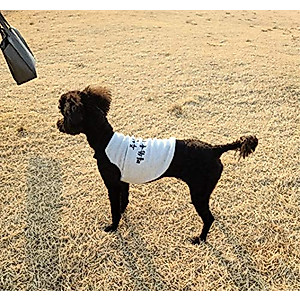 Youthdog Dog Clothes Summer Tank Top Sleeveless Vest Shirt Korean Dog Sweater Pullover Sweatshirts for ropa para Perros pequeños (Small)