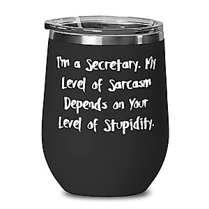 I'm a Secretary. My Level of Sarcasm Depends on Your Level of Stupidity. Wine Glass, Secretary Wine Tumbler, Brilliant For Secretary