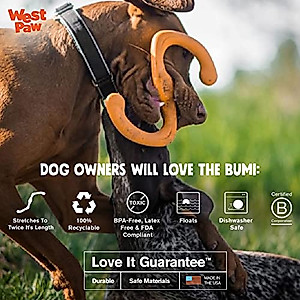 West Paw Zogoflex Bumi Dog Tug Toy – S-Shaped, Lightweight Chew Toys for Fetch, Play, Pet Exercise – Tug of War Soft Flinging Squishy Chewy Toy for Dogs – Guaranteed, Latex-Free, Large 9.5", Aqua Blue