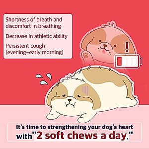 Doctor by HeartUp Heart Care Supplements for Dogs and Puppy – Soft Chews for Dogs with Colostrum, L-Carnitine and Coenzyme Q-10-2.82 oz (80g), 70 Cheese Flavored Soft Chews