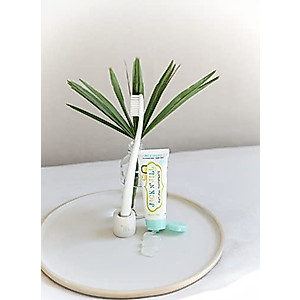 Jack N' Jill Kids Natural Toothpaste - Kids Toothpaste Fluoride Free, Organic Flavors, BPA Free SLS Free, Makes Tooth Brushing Fun for Kids - Blueberry & Strawberry, 1.76 oz (Pack of 4)