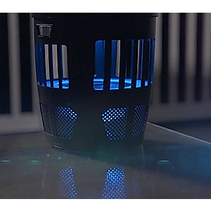 PIC Out- LAN 4-in-1 Portable Insect Trap Lantern & Bluetooth Speaker, Black