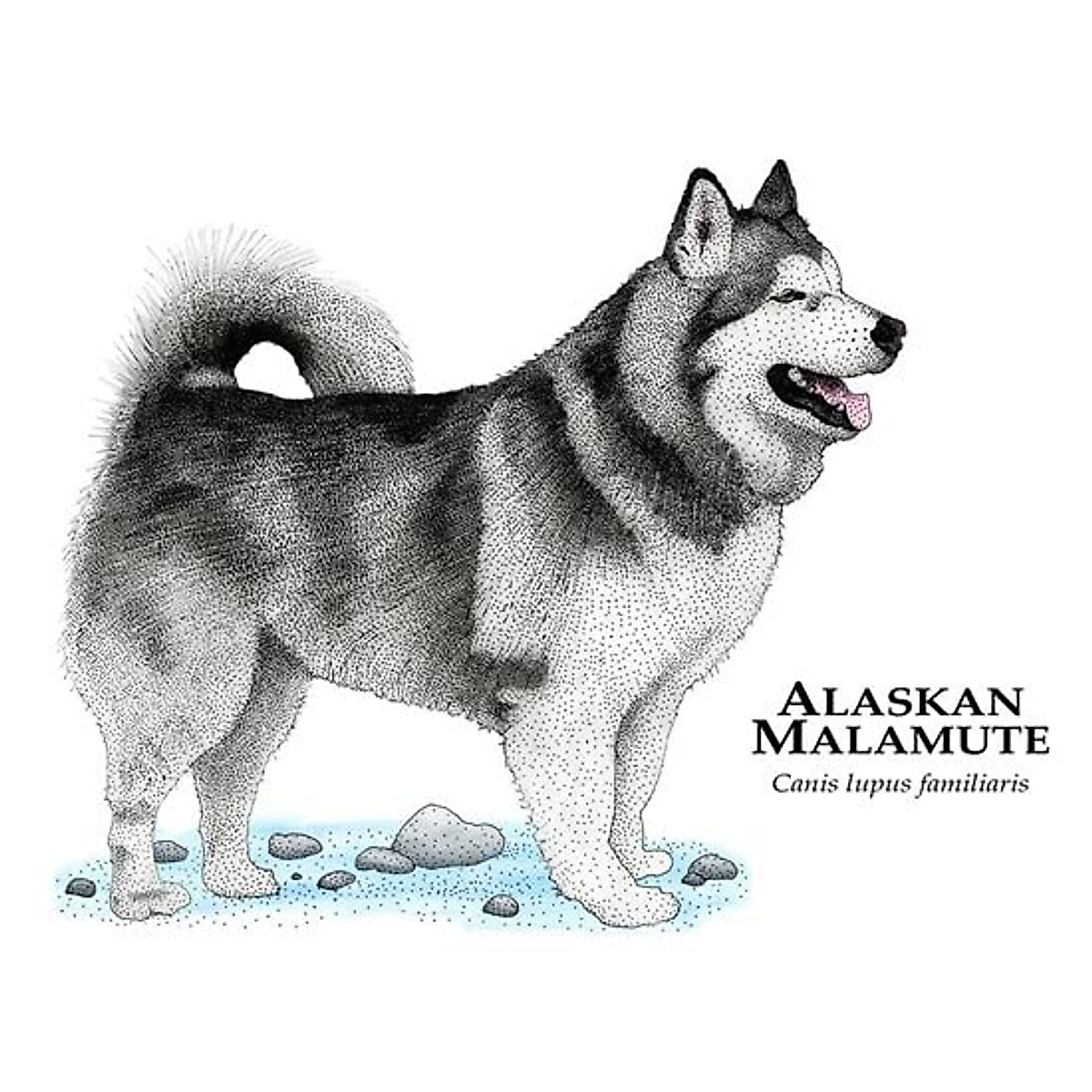 CafePress Alaskan Malamute Mug Ceramic Coffee Mug, Tea Cup 11 oz