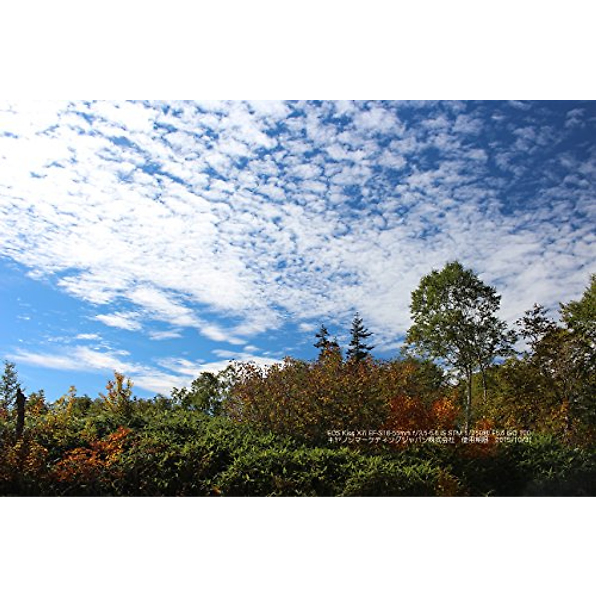 Canon DSLR Camera EOS Kiss X7i Triple Zoom kit EF-S10-18mm F4.5-5.6 is STM EF-S18-55mm F3.5-5.6 is STM EF-S55-250mm with F4-5.6 is STM KISSX7I-TZOOMKIT [International Version, No Warranty]