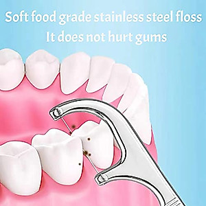 JYPLKCMT 10 Pieces 2 Set Holders Portable Metal Toothpicks,Pocket Titanium toothpick Stainless Steel Toothpick Reusable Toothpicks Holder for Outdoor Camping Picnic Travel