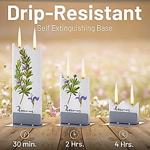 Flatyz Handmade Candle Gift Set with Steel Base - Sunflower Candle Gifts - Unique Candles for Women with Flat Candle Design - Decorative Candles Gift Cute Candle Aesthetic