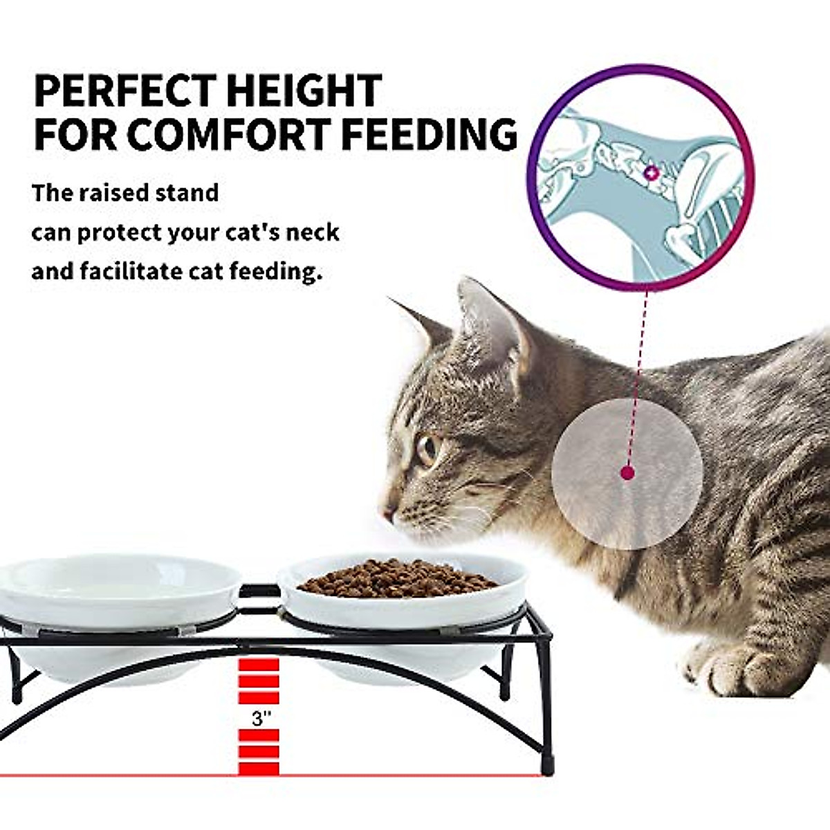 FOREYY Elevated Cat Bowls with 2 Ceramic Bowls and 2 Stainless Steel Bowls,Raised Cat Food Water Bowl with Iron Stand,Porcelain Pet Dishes for Cats and Small Dogs,16 Ounces,Dishwasher Safe
