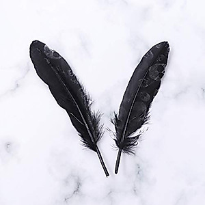 Halloween Skulls Pattern Swan 20 Pcs Saddle Hackle Rooster Halloween Hackle Rooster Goose Natural for Toy DIY Craft Home Decoration Headgears