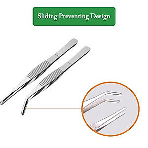 PHYPOBLE 5Pcs Reptile Supplies Set, Include a Reptile Feeding Tongs, Two Stainless Steel Tweezers, Mini Dustpan, Brush and Leave for Hamsters, Turtle, Chameleon, Snake, Spider and Other Small Animals