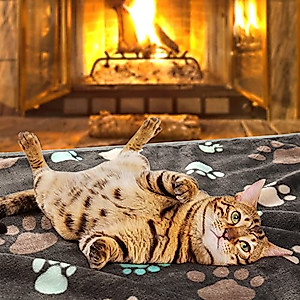 3 Pack Dog Blanket Soft Warm Flannel Cat Blanket, Great Pet Throw for Cats,Puppy,Small Medium Large Dog, 30 x 20 Inches
