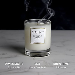 SAINT Francis of Assisi Scented Votive Candle with Prayer, Prayer Coin, and Holy Oil, Saint of Animals, Soy Coconut Aromatherapy Candle with 15 Hour Burn Time