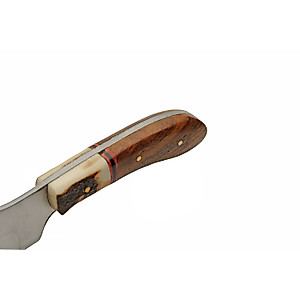 Full Tang Stainless Steel Blade Stag Wooden Handle 7.25 inch Edc Hunting Knife