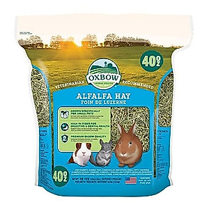 Oxbow Animal Health Alfalfa Hay - All Natural Hay for Young, Pregnant, or Nursing Small Pets - 40 oz.