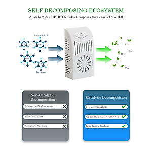 Kiwi Wellness Refrigerator Deodorizer and Odor Absorber, Eliminates Odors in Refrigerators & Freezers. Keeps your Produce Fresh (3 PACK).