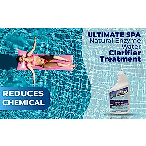 Black Diamond Stoneworks Ultimate Spa Filter Cleaner Fast-Acting Spray for Hot Tub & Pool Filters 1-Gallon and Ultimate SPA and Pool Natural Enzyme Water Clarifier Treatment 1-Quart.
