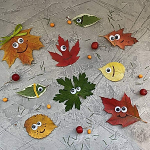 560 Pcs Wiggle Googly Eyes with Self-Adhesive, 6mm 8mm 10 mm 12mm 15mm Mixed Packaging (Black and White)