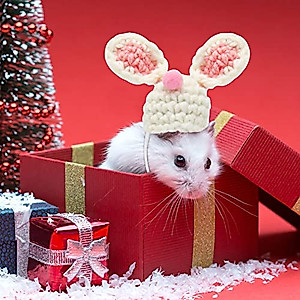 Cute Pet Mini Hat, Boyistar Small Animals Hand Knitted Hat for Hamsters Adjustable Elastic Strap Pet Funny Hat for Snakes, Guinea Pig, Lizards, Repiles Party Hat Small Animal Costume Accessories